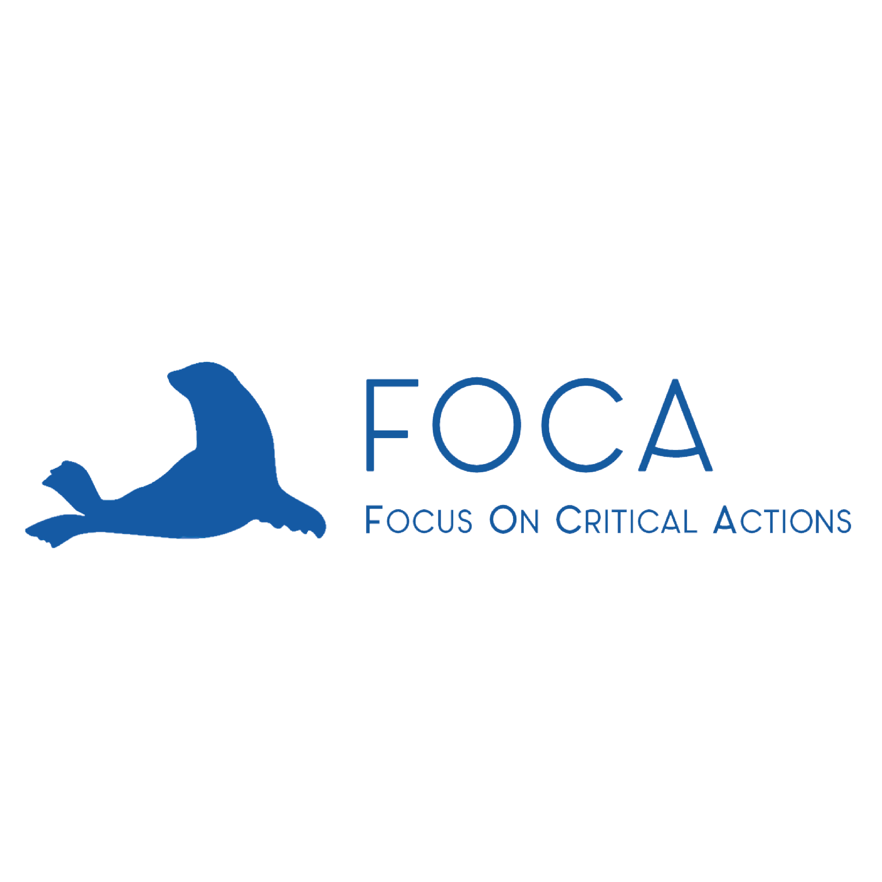 FOCA – Focus on Critical Actions_PT – Pacto para o Clima